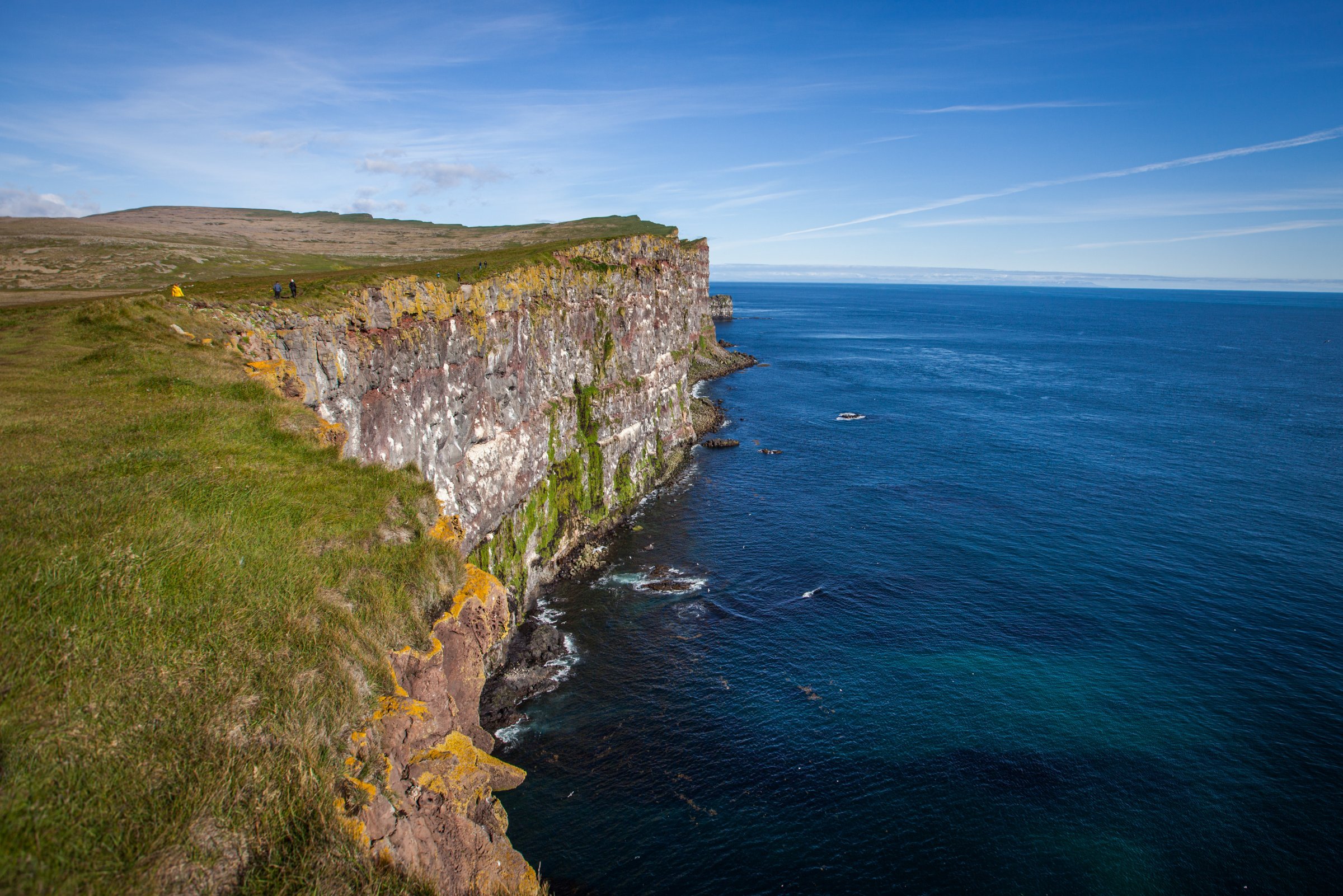 Látrabjarg Birdcliff | Visit Westfjords